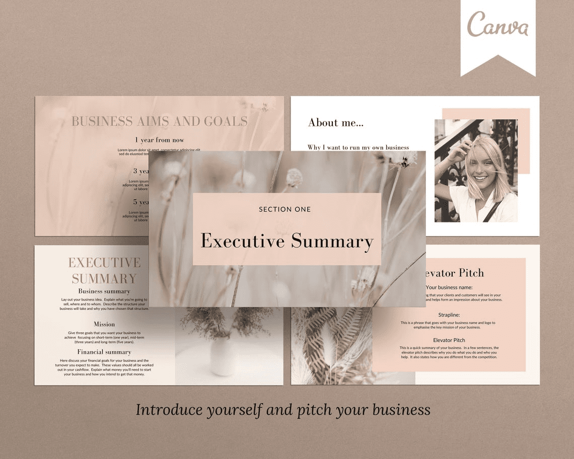 10+ Great Business Pitch Templates to Download and Use